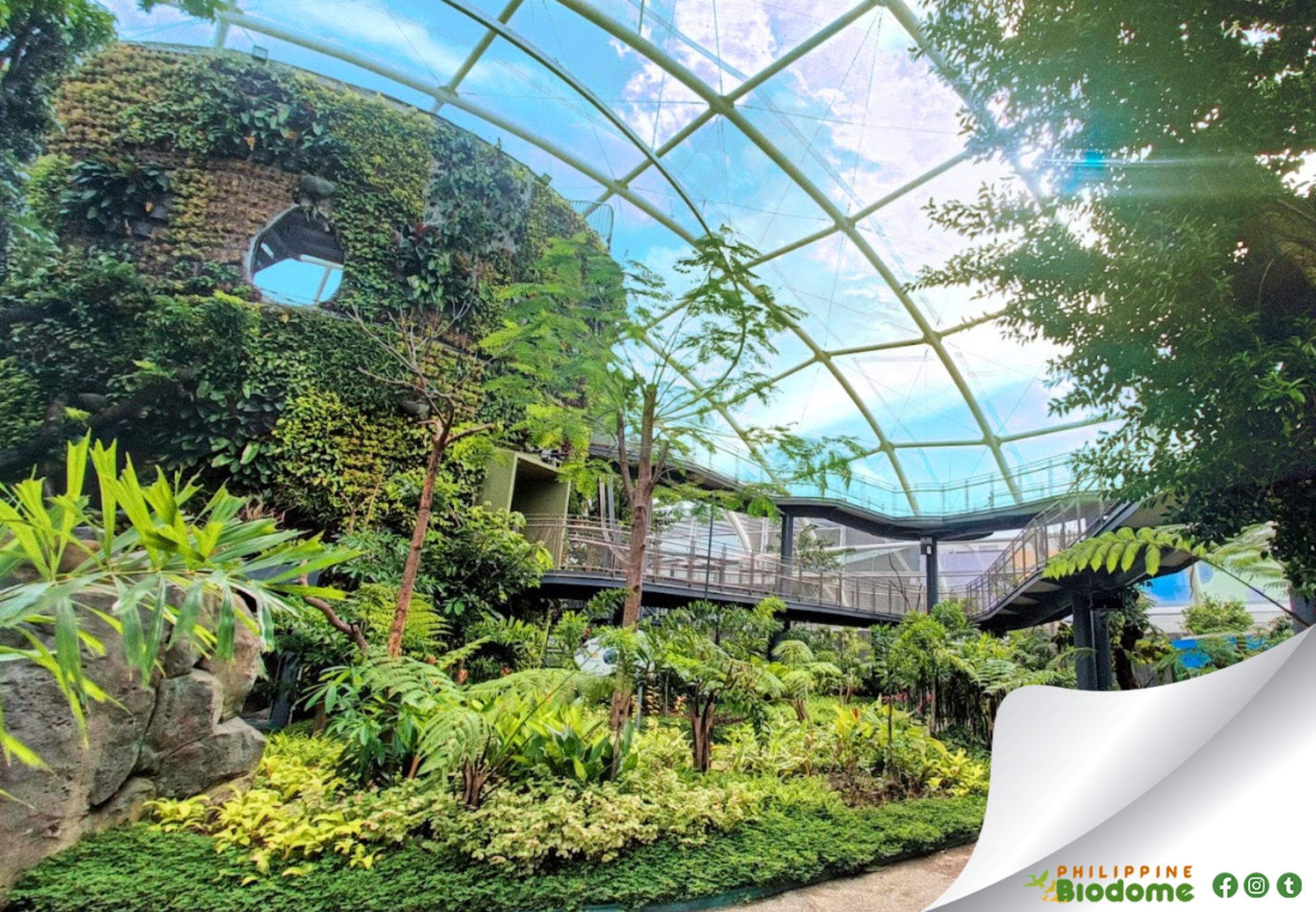 This is Your Sign to Explore the Philippines' First Biodome - Gen-Z ...
