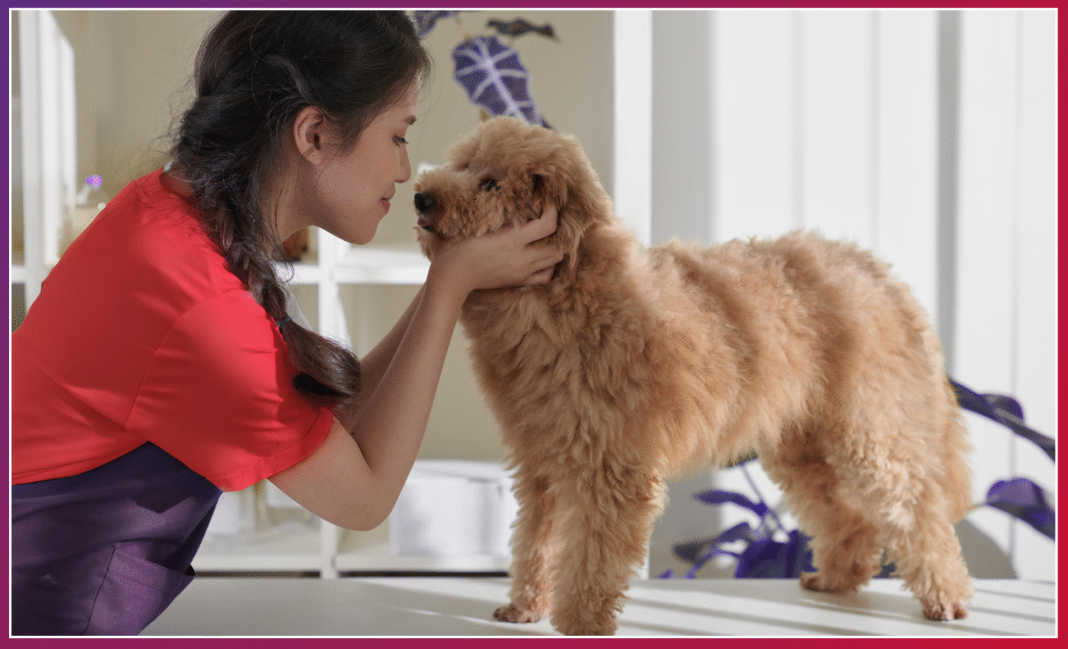 Bravecto 365: Year-Round Flea and Tick Prevention for Dogs in the ...